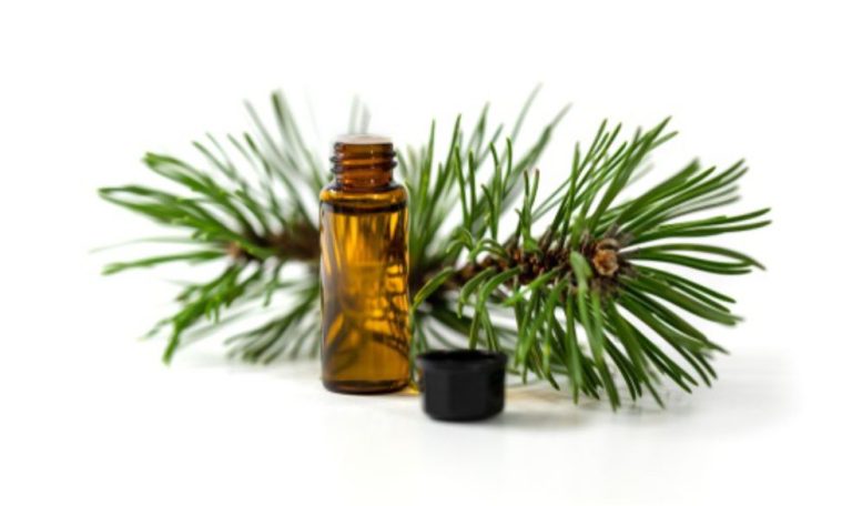 Home - PT. Terra Internasional Indonesia